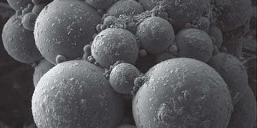 The FlexSEM II: High-Resolution SEM Imaging in a surprisingly compact design